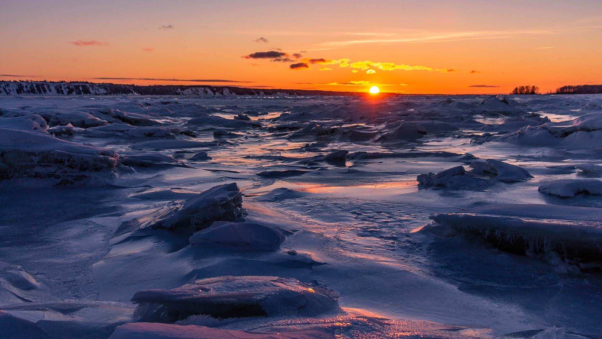 Awakened Mind Programs - Connecting Well-being & Leadership